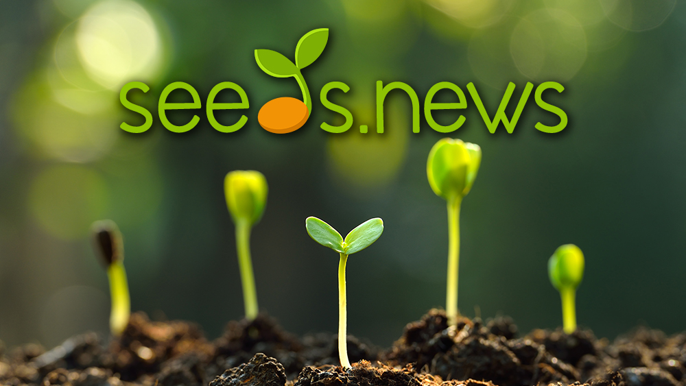 Seeds News | Seeds News – Seeds Information